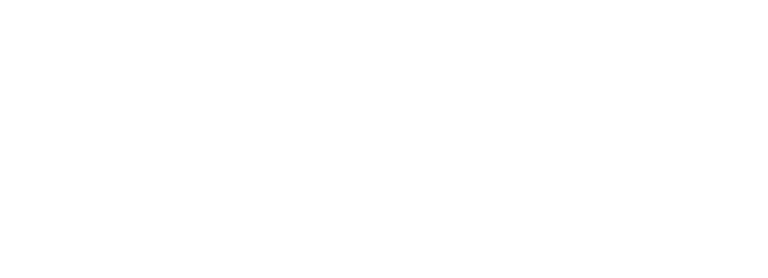 About Us - Calamba Premiere International Park